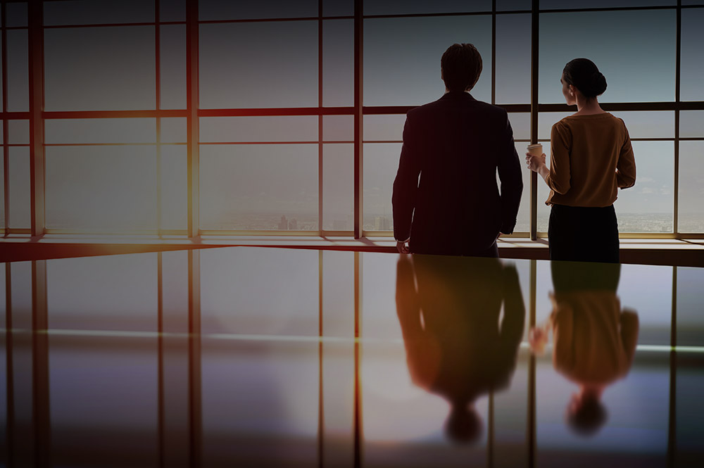 Business Organization and Transaction Law Firm: Singerman Mills